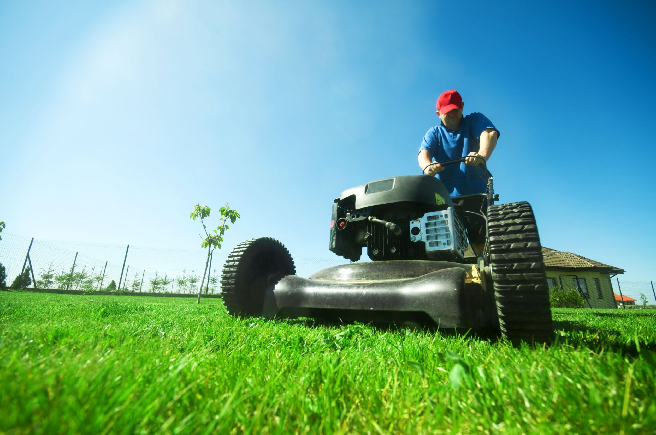 Lawn Mowing Twin Cities: Perfect Your Yard with Expert Care - On Web Look